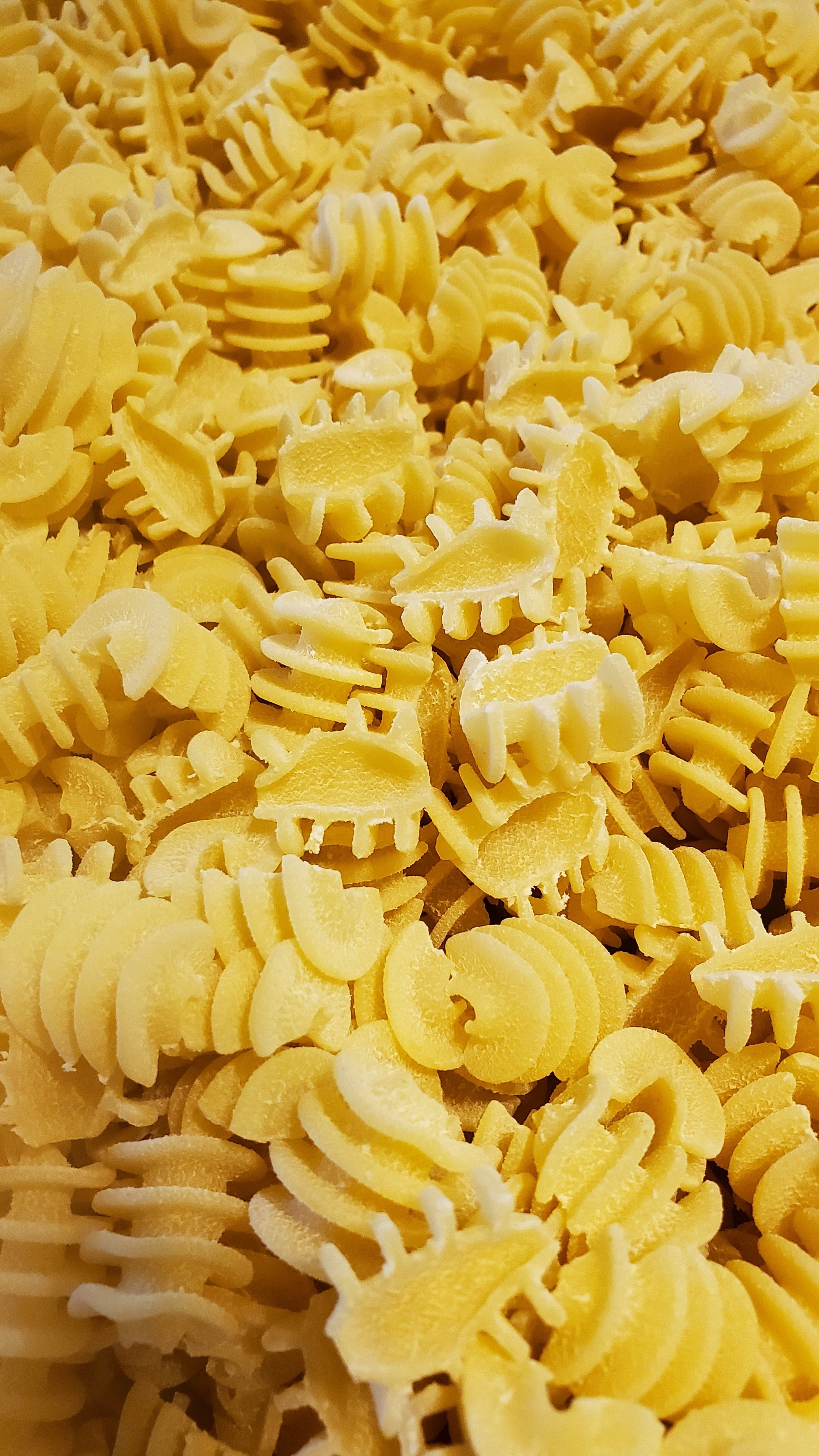 radiatore pasta noodles